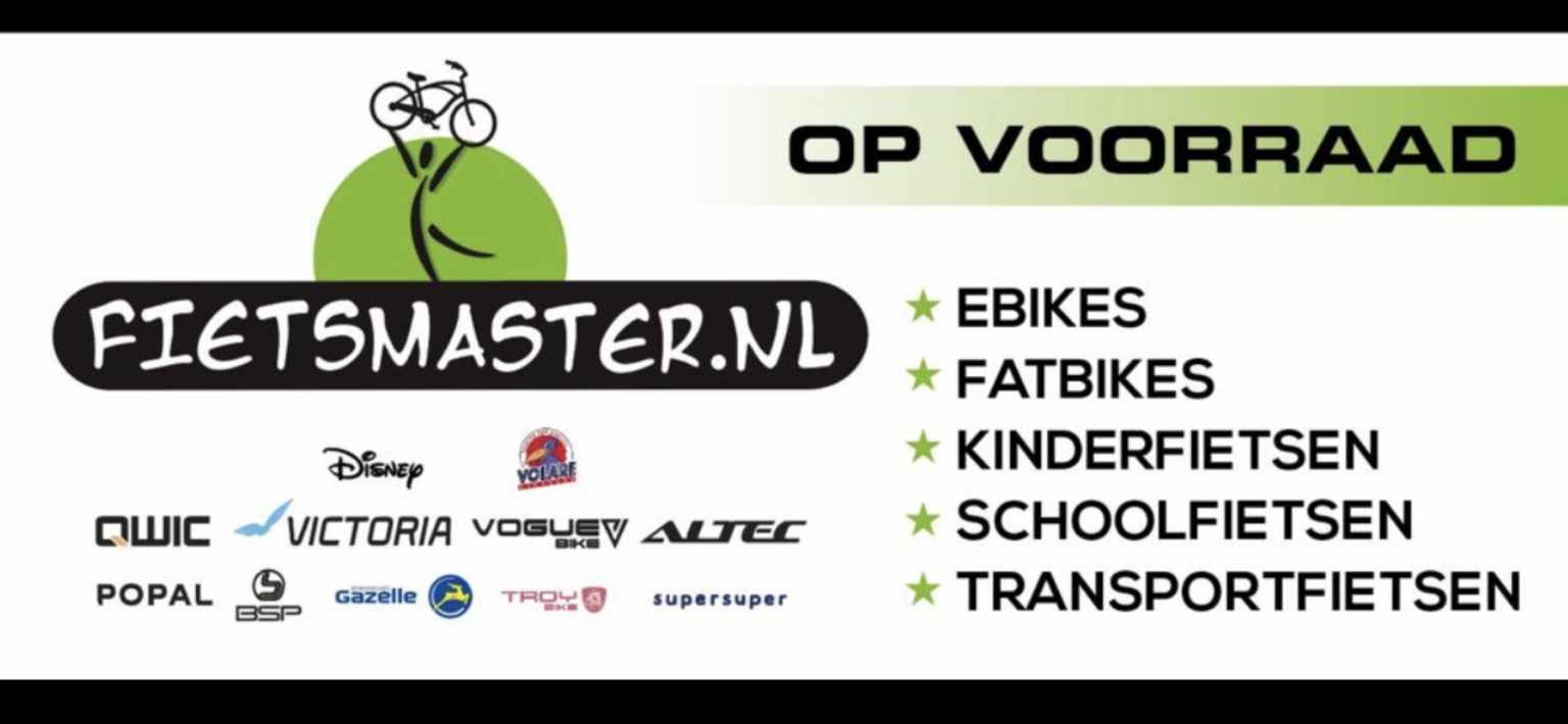 VOGUE E-BIKE, INFINITY M300, 8SP SHIMANO, HYDRAULIC, 48CM, MATT-GREY ...